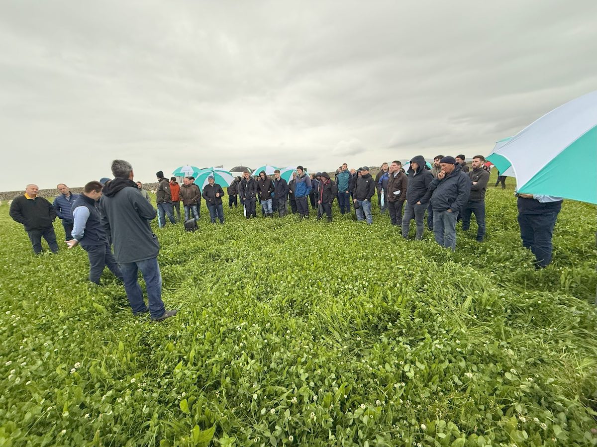 Driving Innovation In Agriculture | AgriSearch